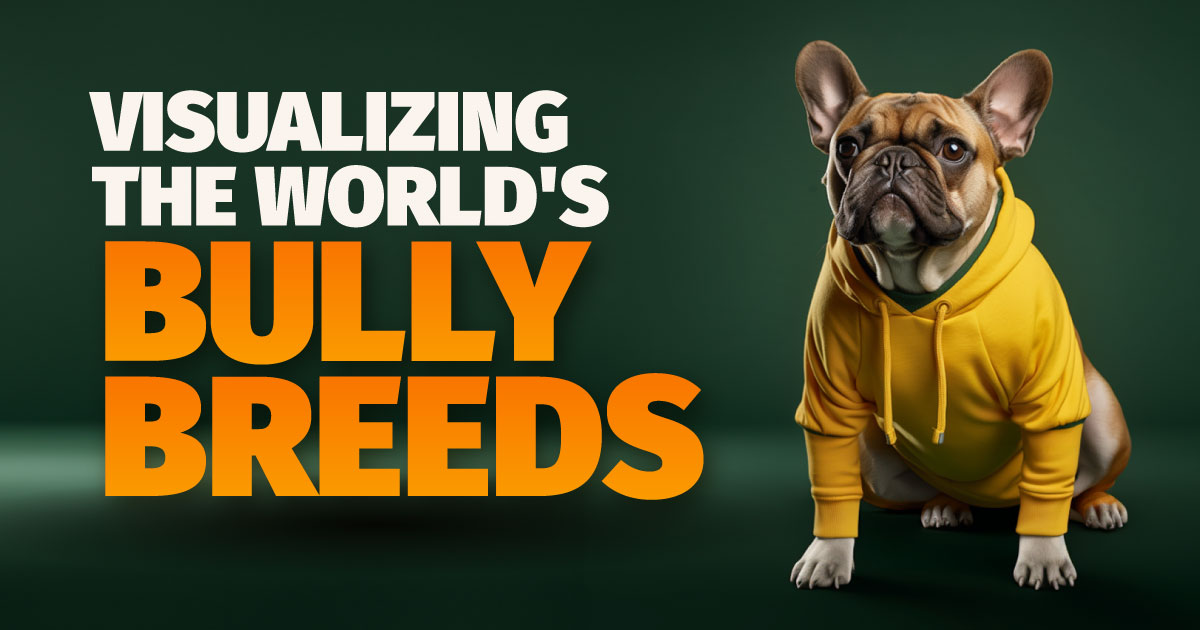 Bully Breed: Beloved and Booming - entreprenerd.net
