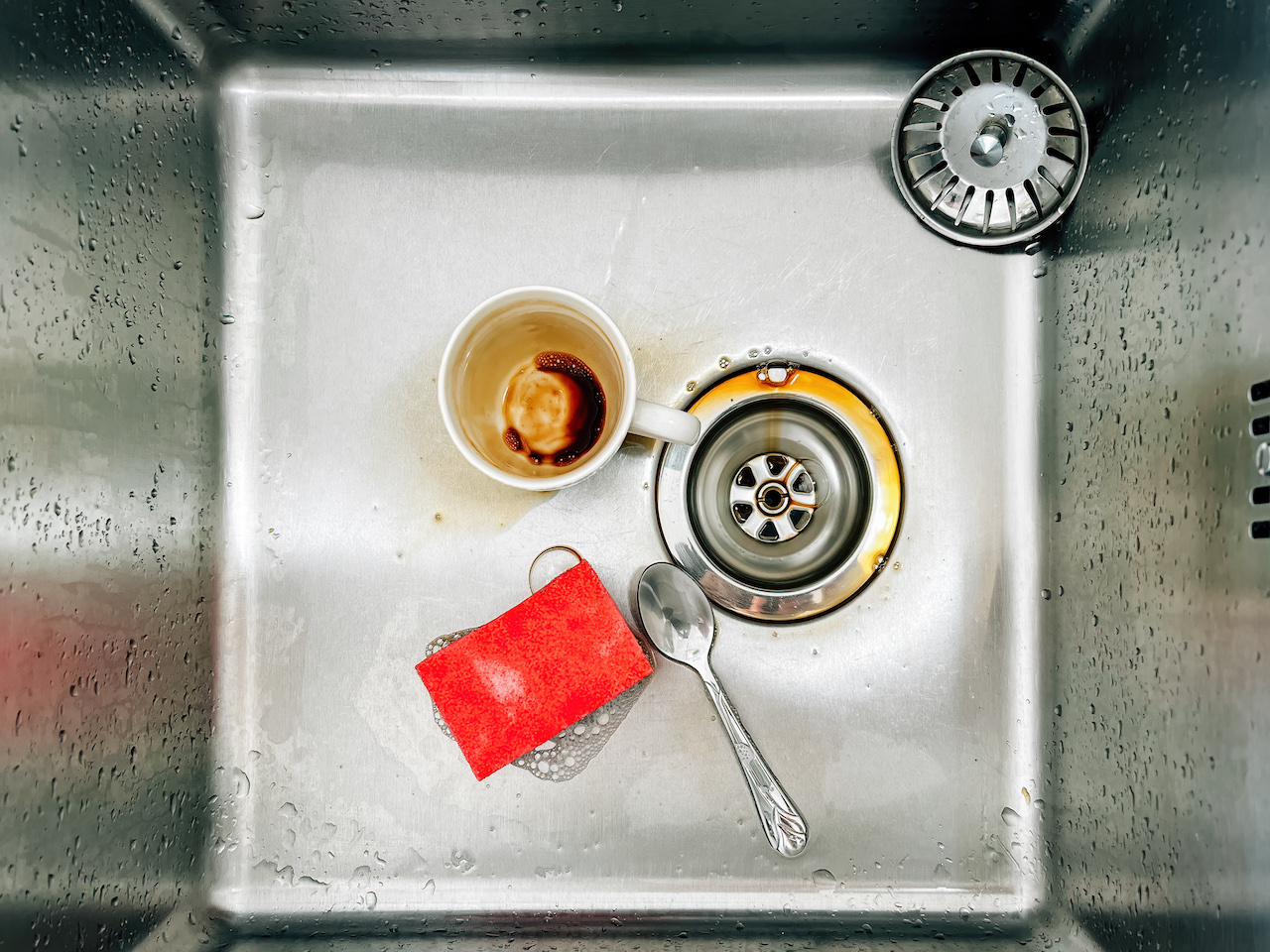 How to Choose the Right Garbage Disposal for Your Kitchen ...
